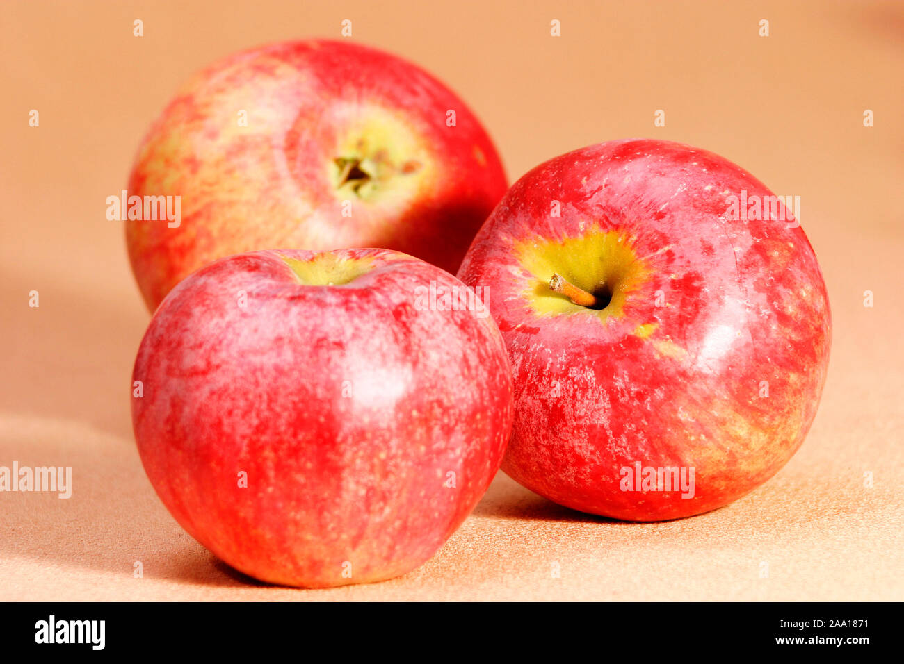 Roter franz hi-res stock photography and images - Alamy