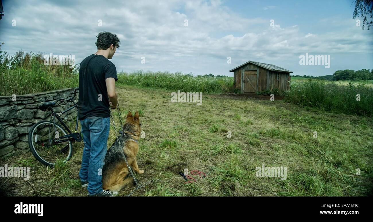 THE SHED, Jay Jay Warren, 2019. © RLJE Films / courtesy Everett ...