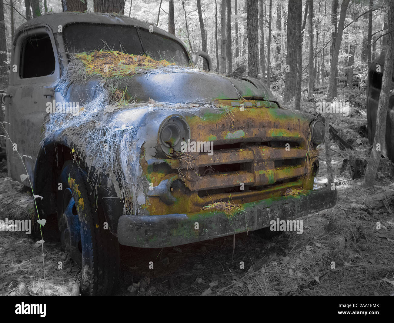 Abandoned truck hi-res stock photography and images - Alamy
