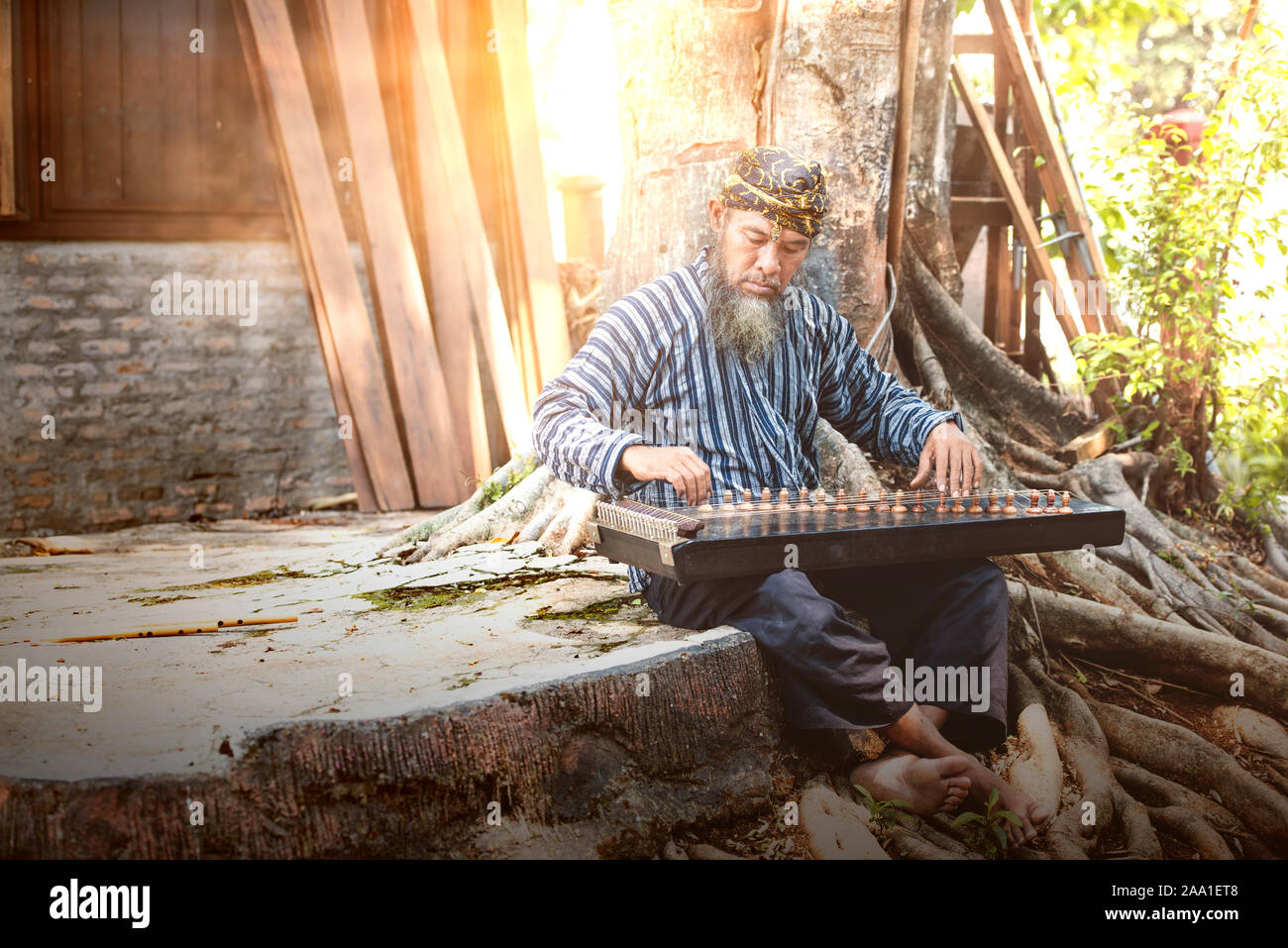 Asian old man playing kecapi with tree background. Kecapi is a ...