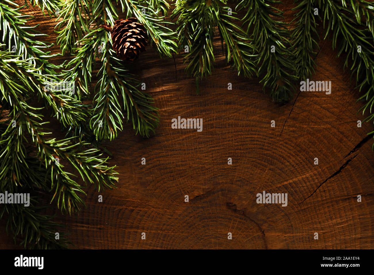 Evergreen tree background Stock Photo - Alamy