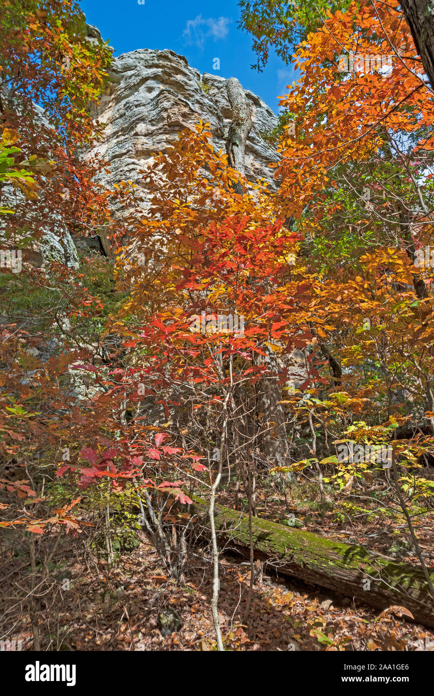 Sandstone Cliff Looking over the Colorful Fall Forest in the Garden of ...