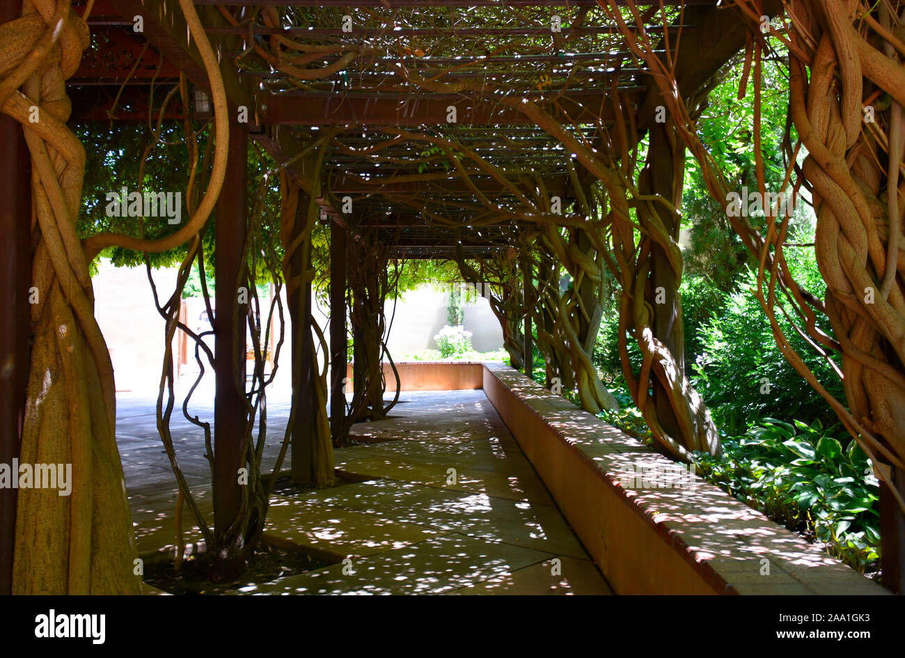 Rose roof hi-res stock photography and images - Alamy
