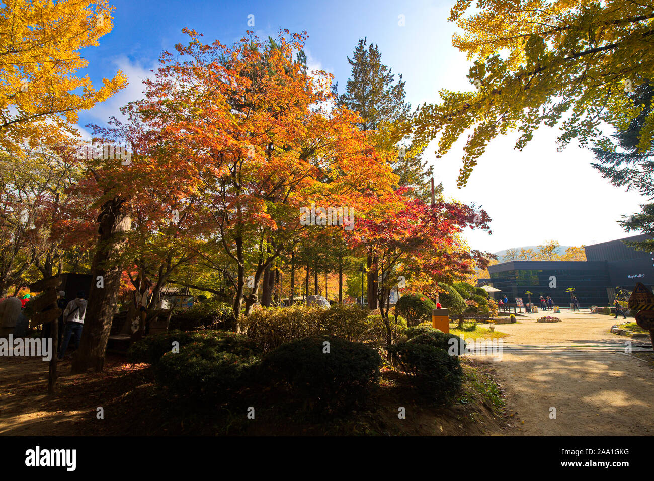 NAMI ISLAND, S. KOREA - OCTOBER 27, 2019: Beautiful landscape inside ...