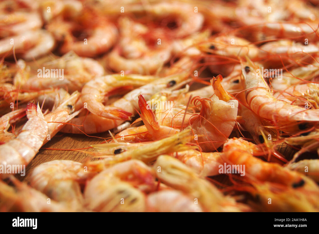 The shrimps were hung out in the open air Stock Photo - Alamy