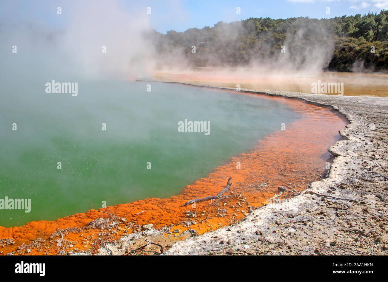Champagne Pool at Wai-O-Tapu Thermal Wonderland Stock Photo - Alamy