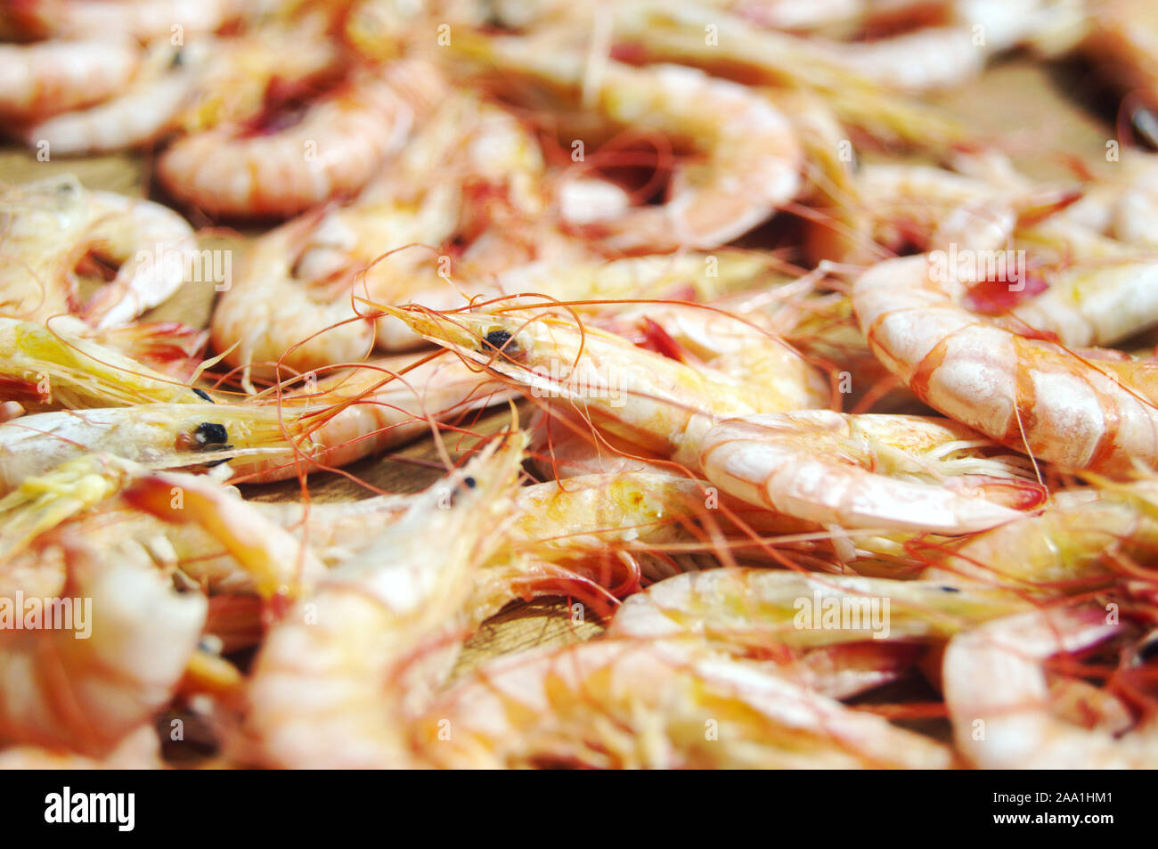 The shrimps were hung out in the open air Stock Photo - Alamy