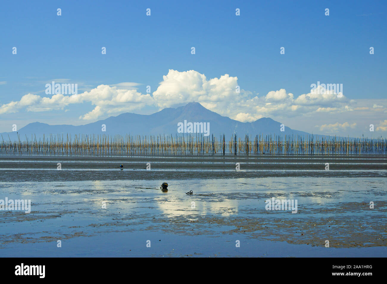 Mudflat of Ariake Sea, Kumamoto Prefecture, Japan Stock Photo - Alamy