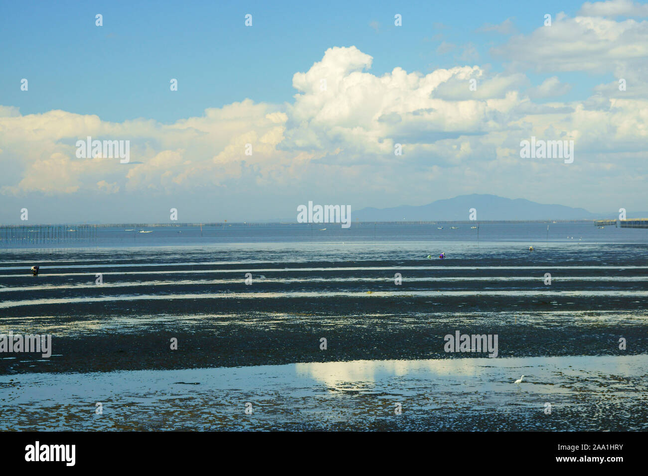 Mudflat of Ariake Sea, Kumamoto Prefecture, Japan Stock Photo - Alamy