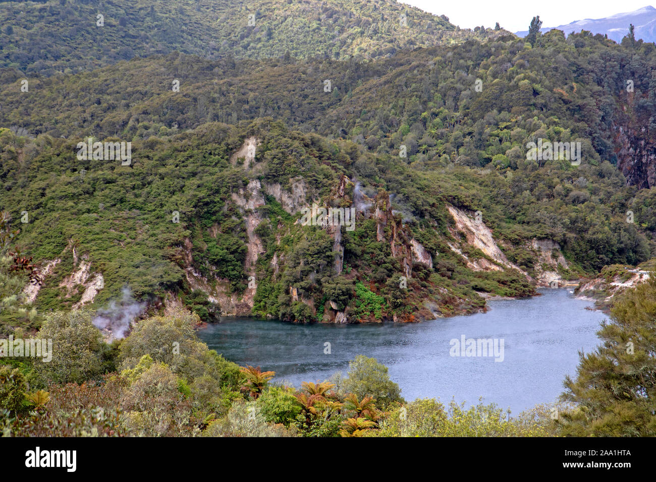 Frying Pan Lake at Waimangu Volcanic Valley Stock Photo - Alamy