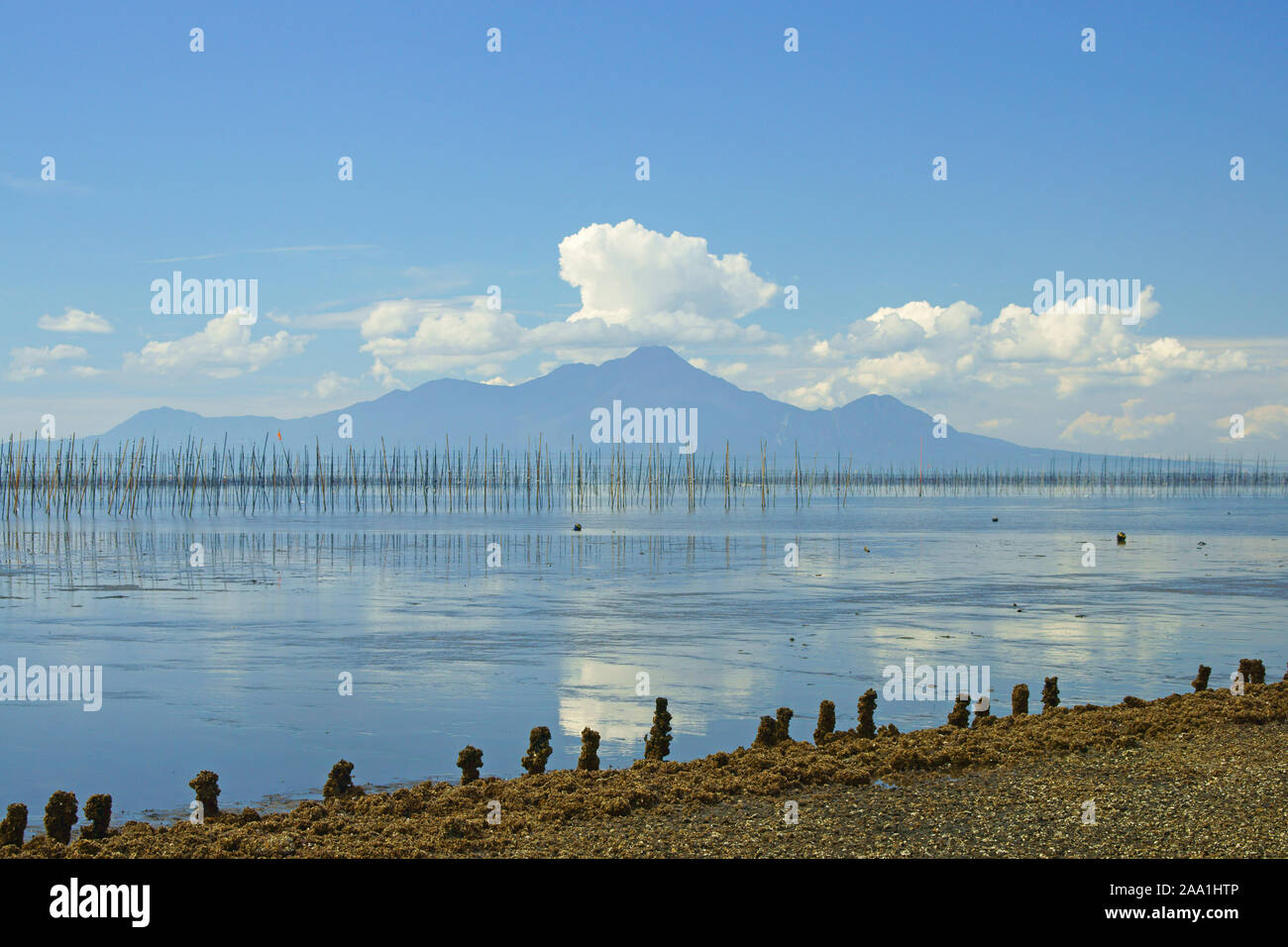 Mudflat of Ariake Sea, Kumamoto Prefecture, Japan Stock Photo - Alamy