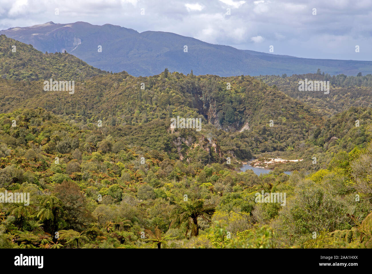 Mt Tarawera rising behind Waimangu Volcanic Valley Stock Photo - Alamy