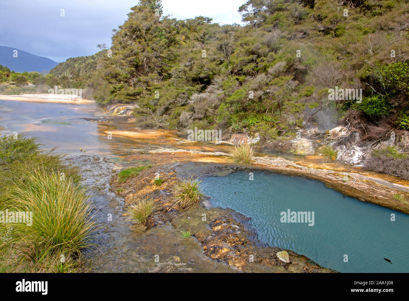 Warbrick Terrace at Waimangu Volcanic Valley Stock Photo - Alamy