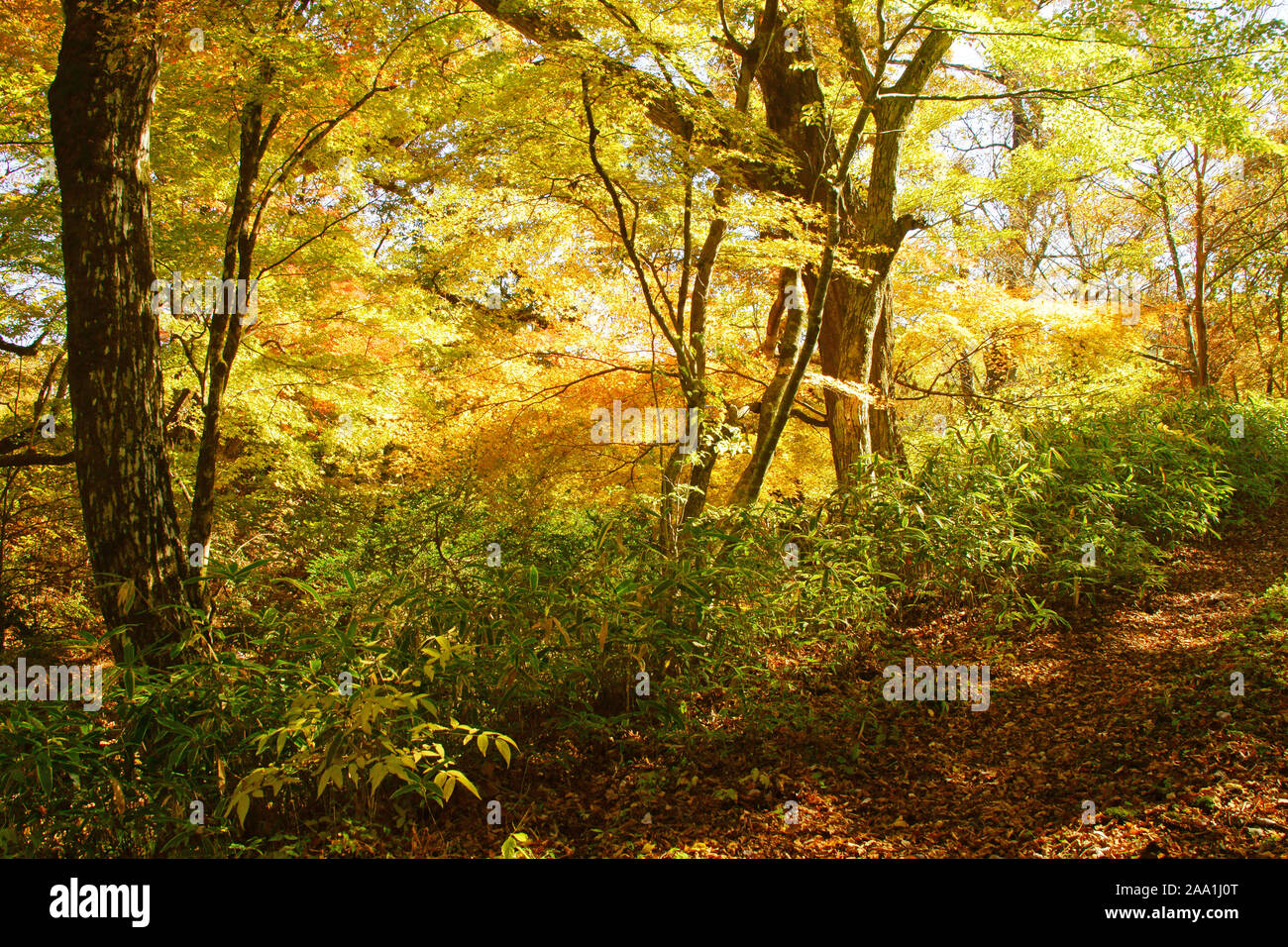 Mazeno valley hi-res stock photography and images - Alamy