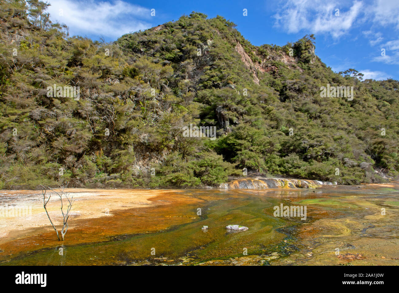 Warbrick Terrace at Waimangu Volcanic Valley Stock Photo - Alamy