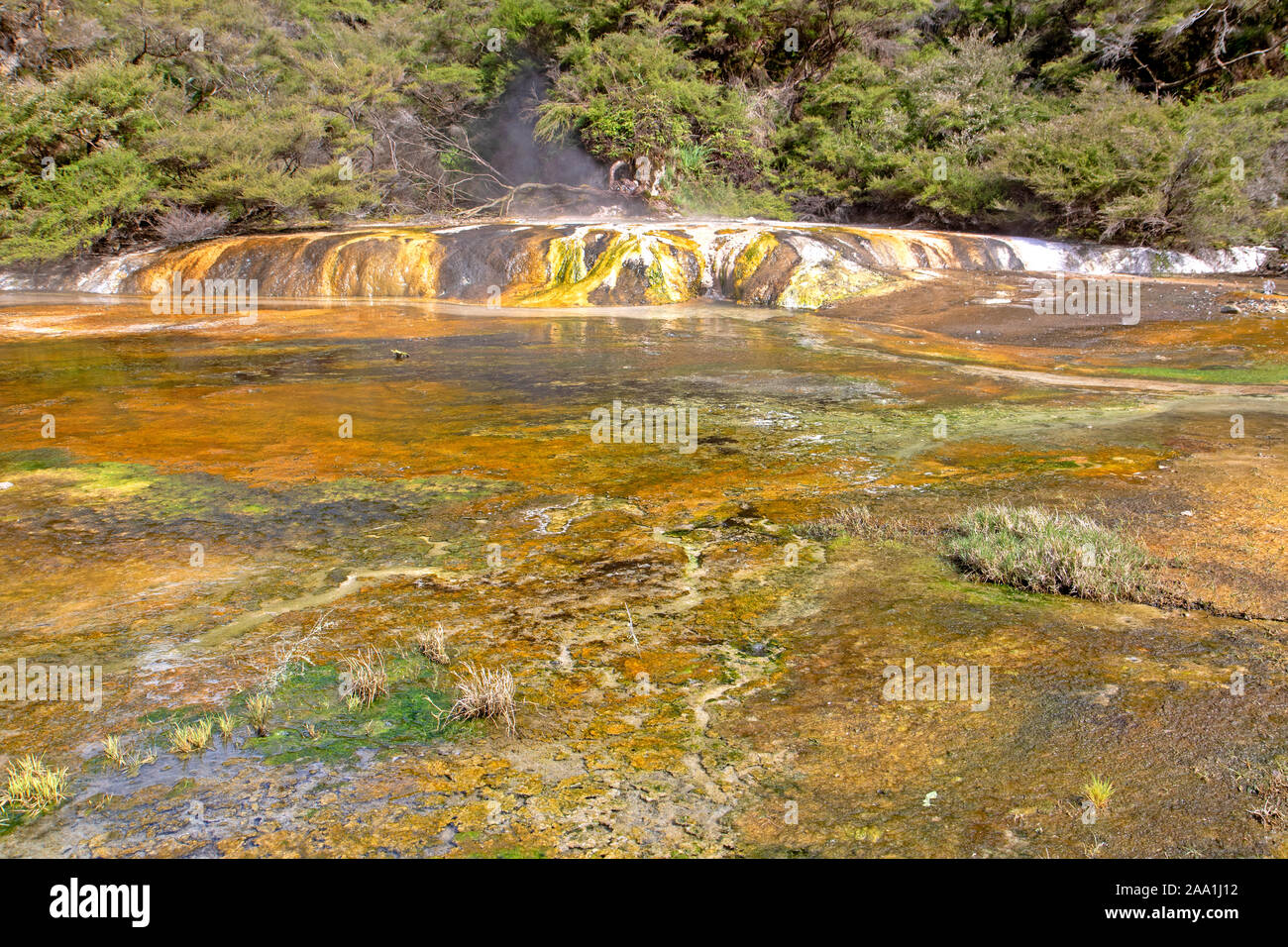Warbrick Terrace at Waimangu Volcanic Valley Stock Photo - Alamy