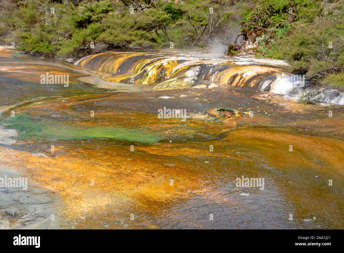 Warbrick Terrace at Waimangu Volcanic Valley Stock Photo - Alamy