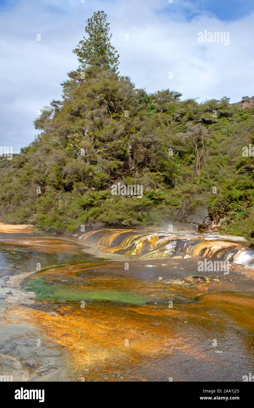 Warbrick Terrace at Waimangu Volcanic Valley Stock Photo - Alamy