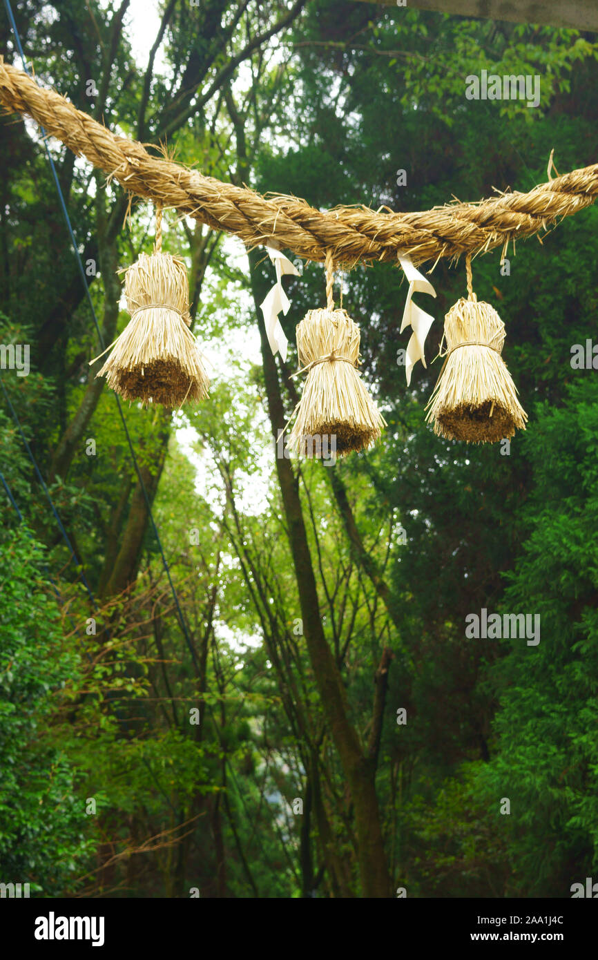 Shimenawa (Straw Ropes Stock Photo - Alamy