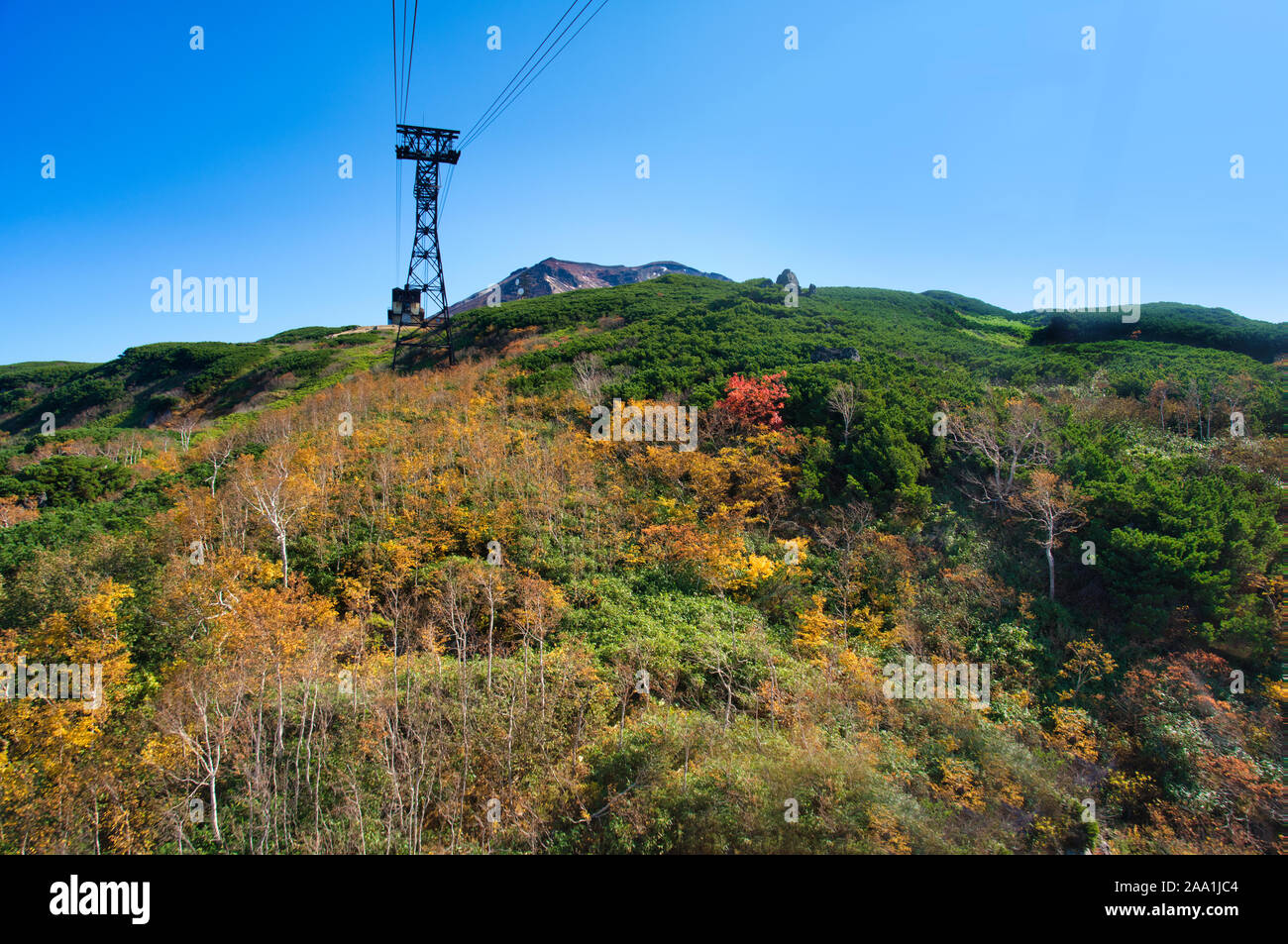 Mt. Asahi, autumn foliage Stock Photo - Alamy