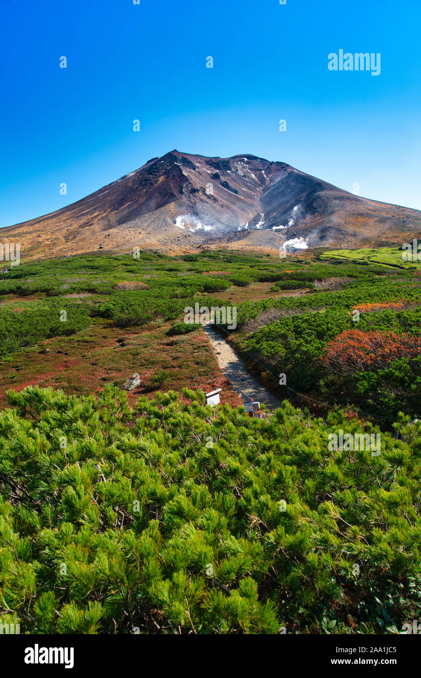 Mt. Asahi, autumn foliage Stock Photo - Alamy