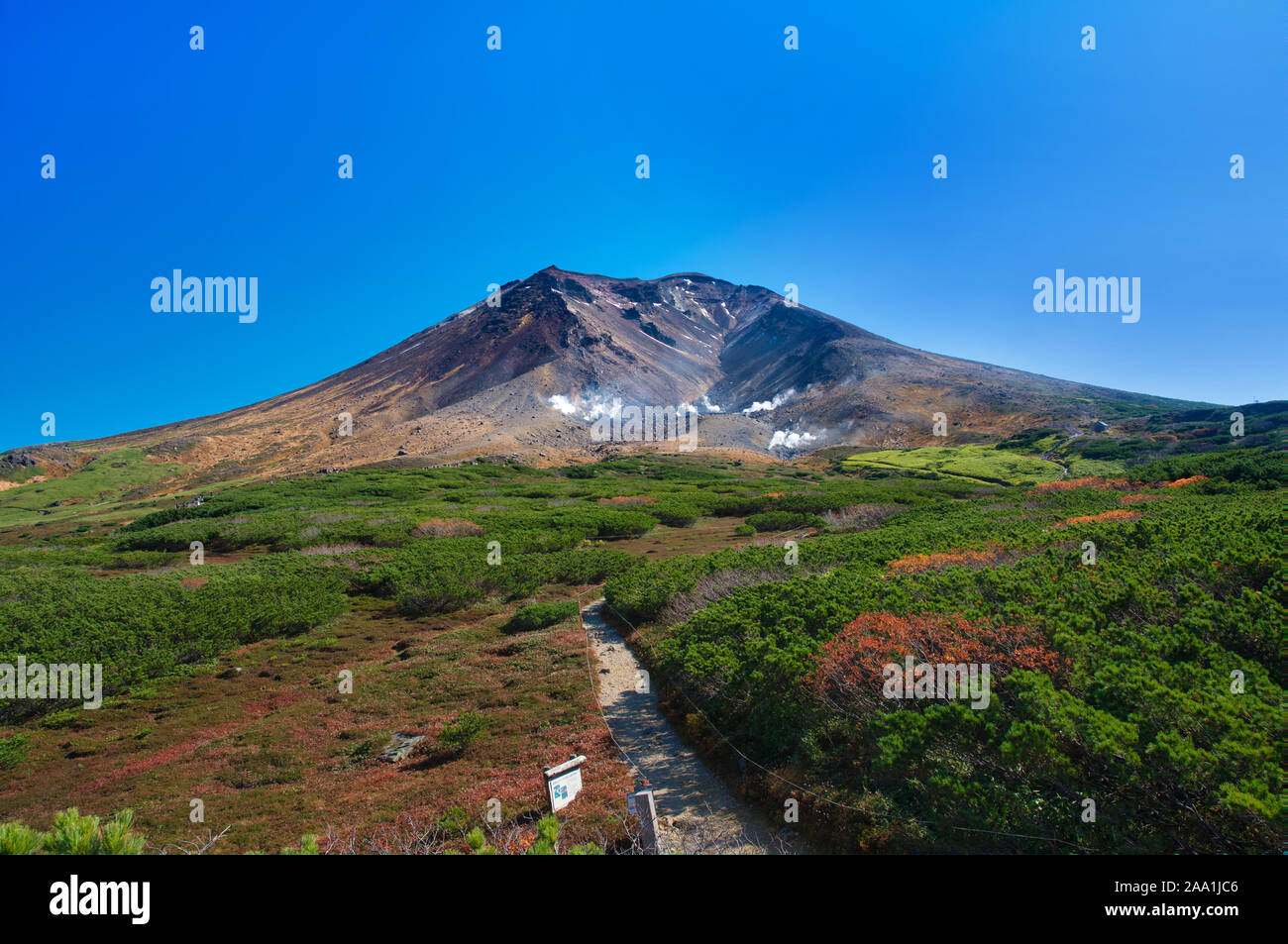 Mt. Asahi, autumn foliage Stock Photo - Alamy