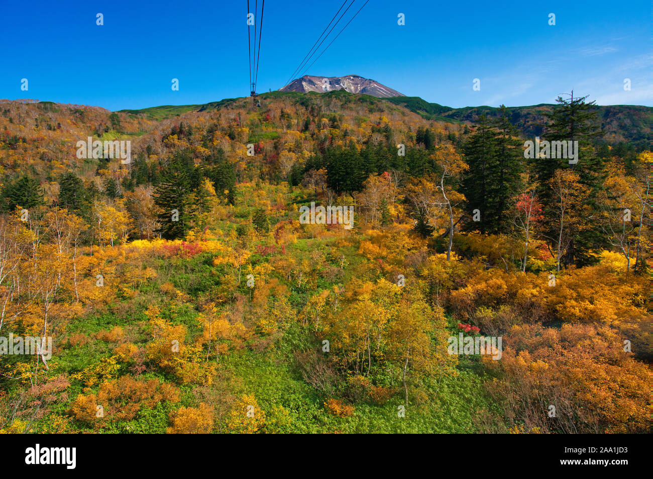 Mt. Asahi, autumn foliage Stock Photo - Alamy