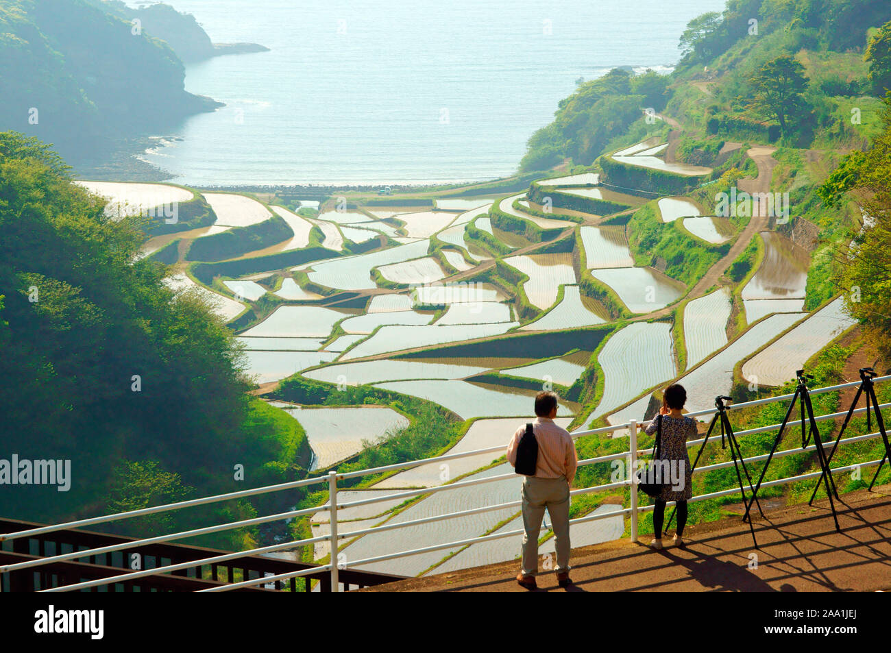Rice terrace, Hamanoura, Nagasaki Prefecture, Japan Stock Photo - Alamy