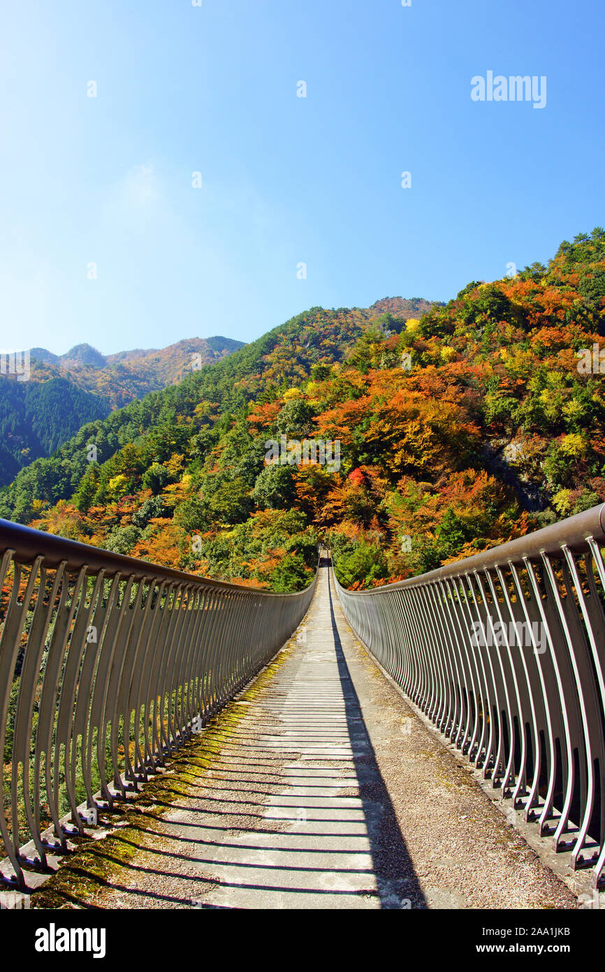 Umenokitodoro Park Rope Bridge, Kumamoto Prefecture, Japan Stock Photo ...