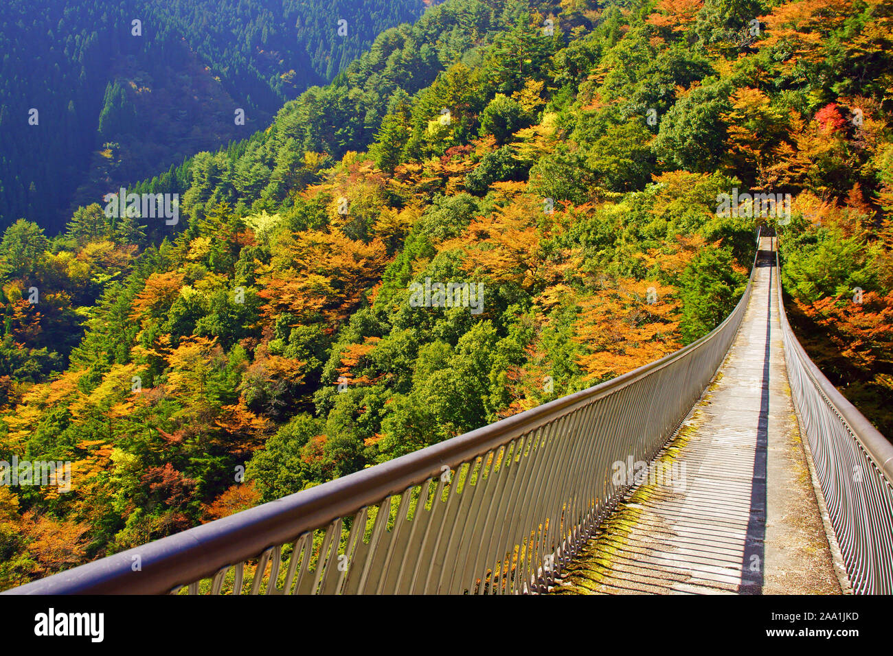 Umenokitodoro Park Rope Bridge, Kumamoto Prefecture, Japan Stock Photo ...