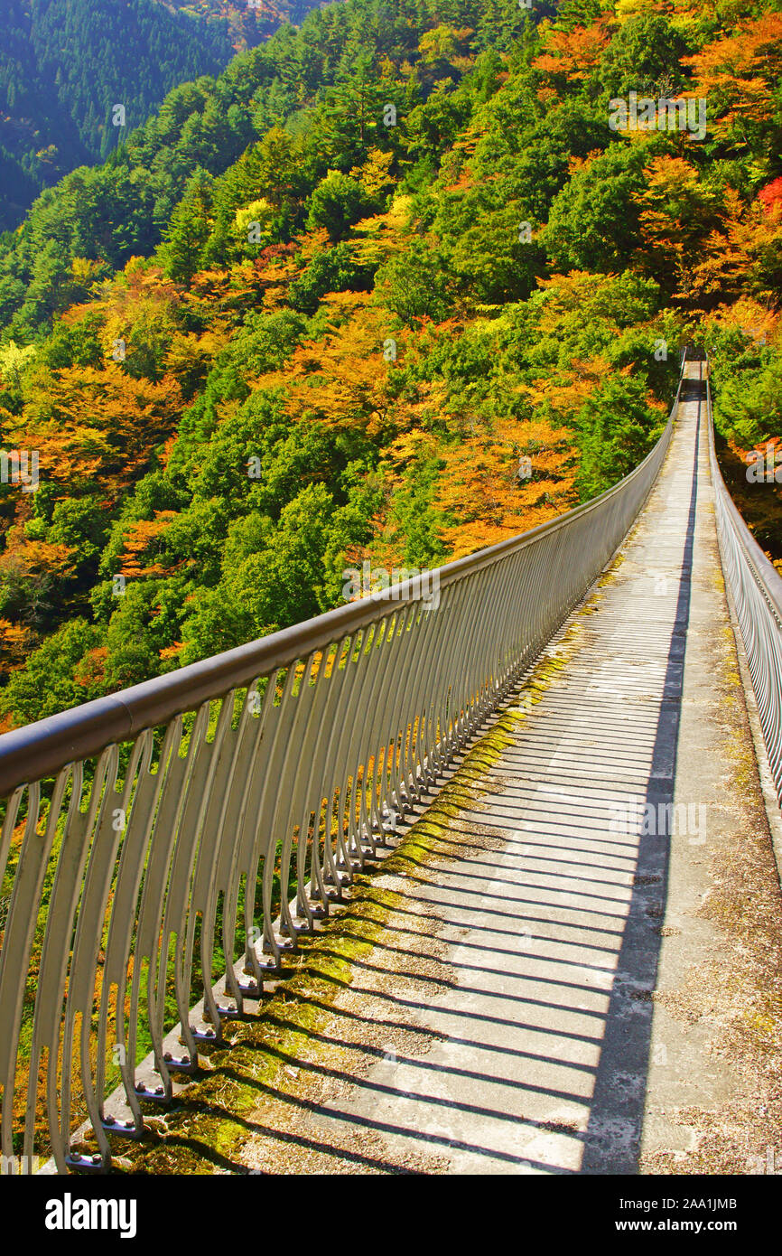 Umenokitodoro Park Rope Bridge, Kumamoto Prefecture, Japan Stock Photo ...
