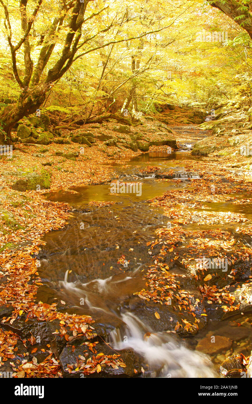 Mazeno Valley, autumn Stock Photo - Alamy
