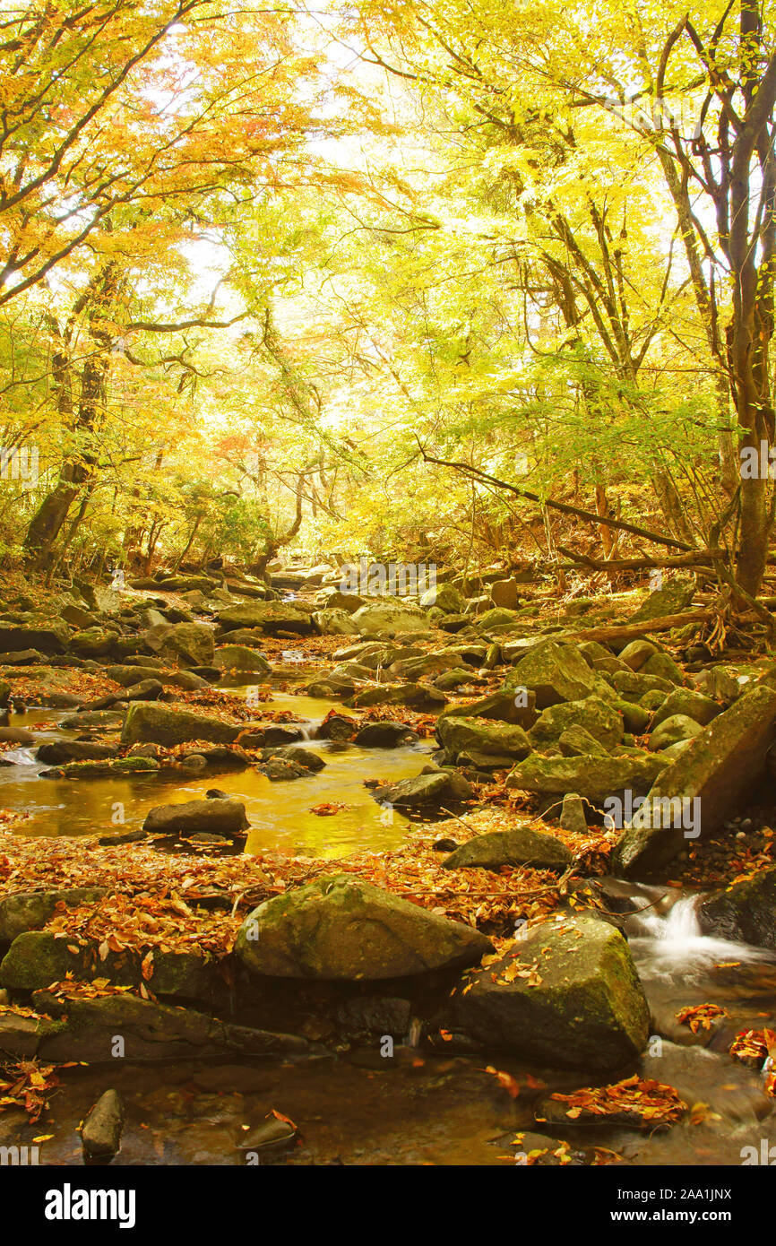 Mazeno Valley, autumn Stock Photo - Alamy