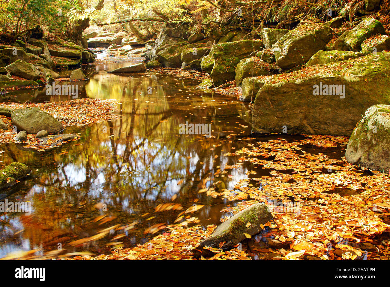 Mazeno Valley, autumn Stock Photo - Alamy