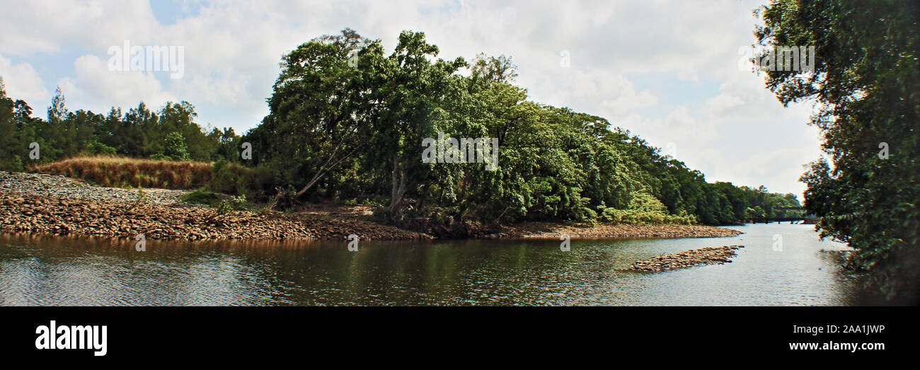 Where the Barron River passes through Kamerunga bushland conservation ...