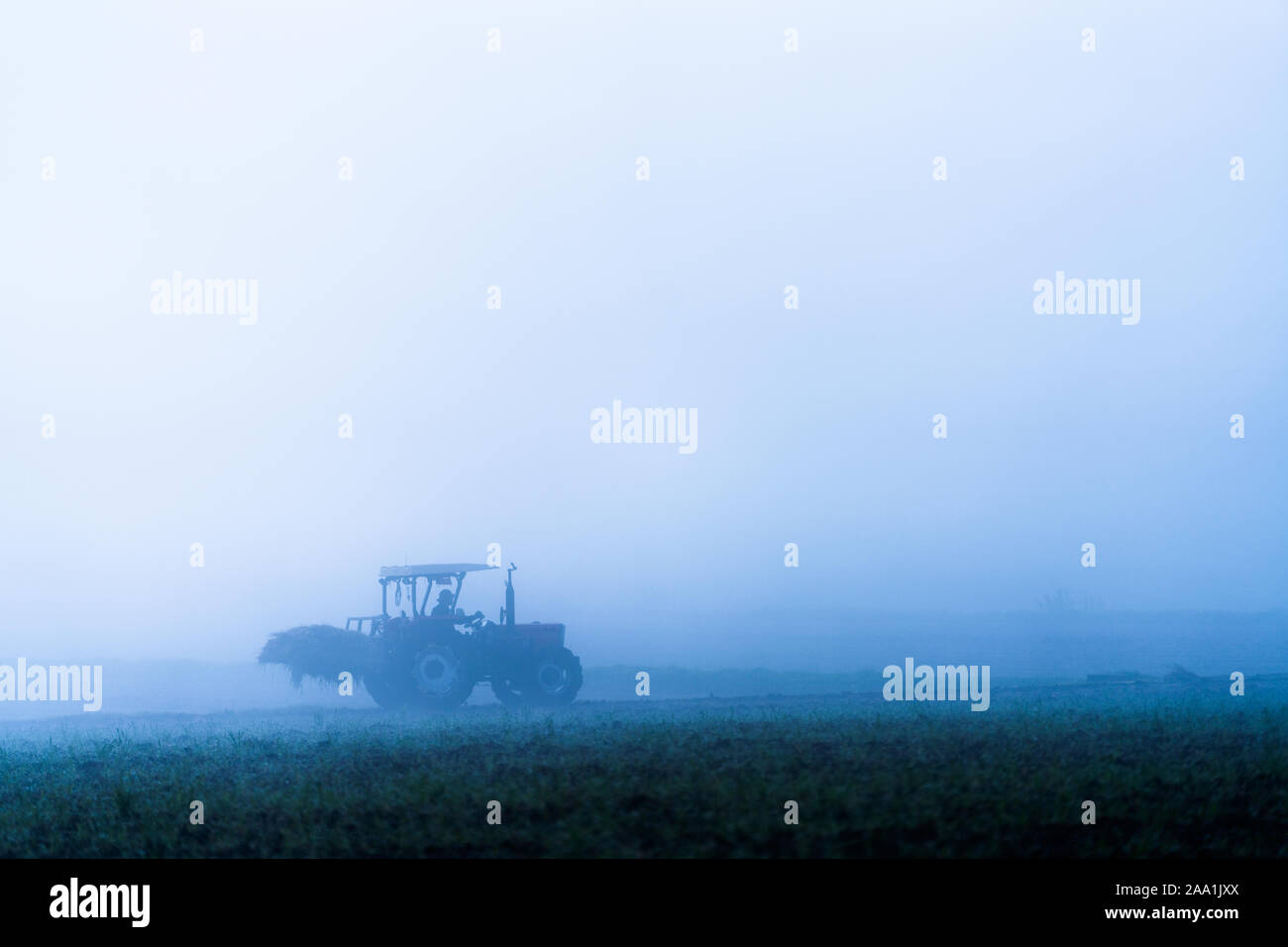 Tractor, morning mist Stock Photo - Alamy