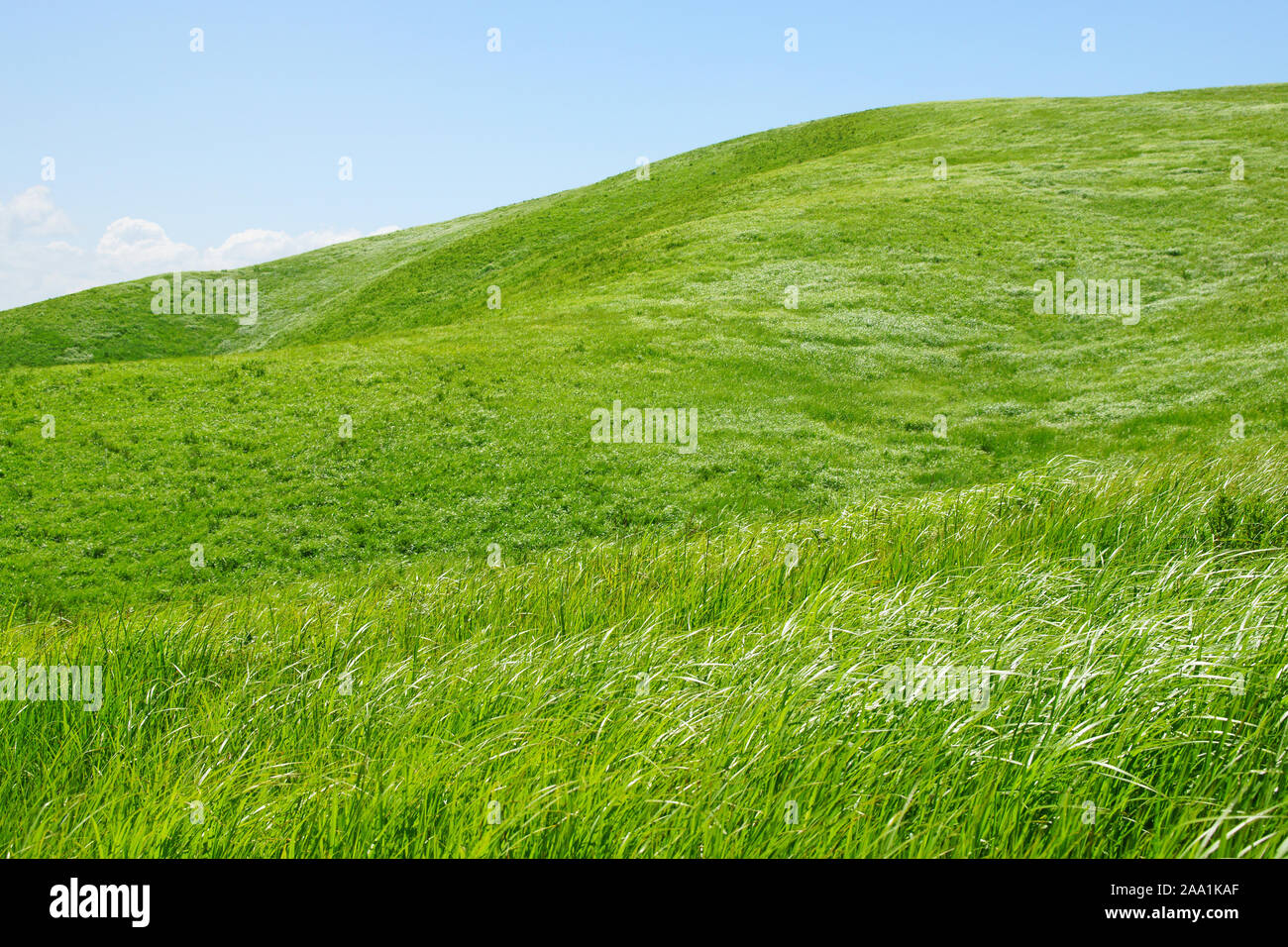 Japan land reform hi-res stock photography and images - Alamy