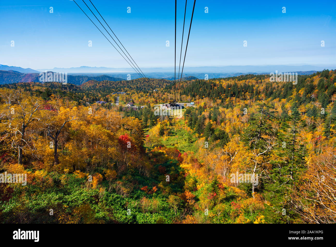 Mt. Asahi, autumn foliage Stock Photo - Alamy