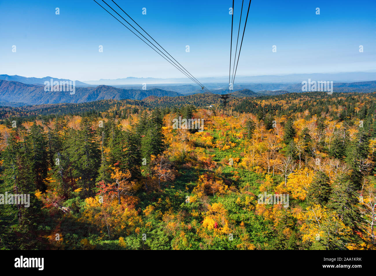 Mt. Asahi, autumn foliage Stock Photo - Alamy