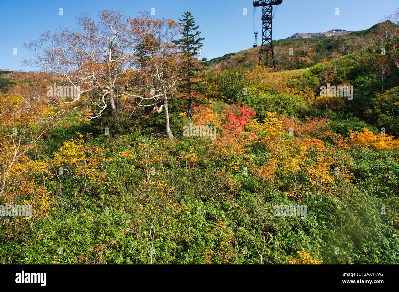 Mt. Asahi, autumn foliage Stock Photo - Alamy