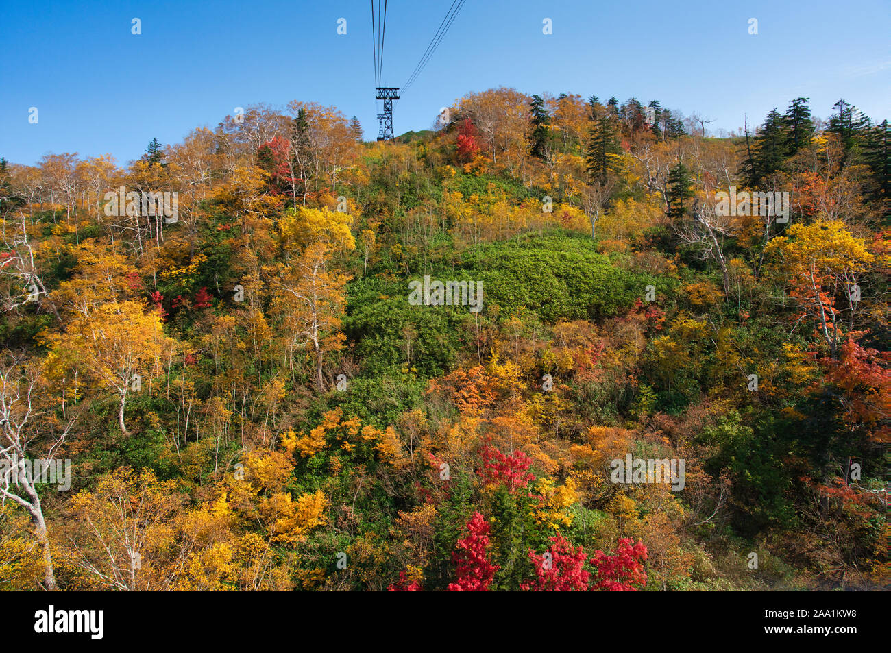 Mt. Asahi, autumn foliage Stock Photo - Alamy
