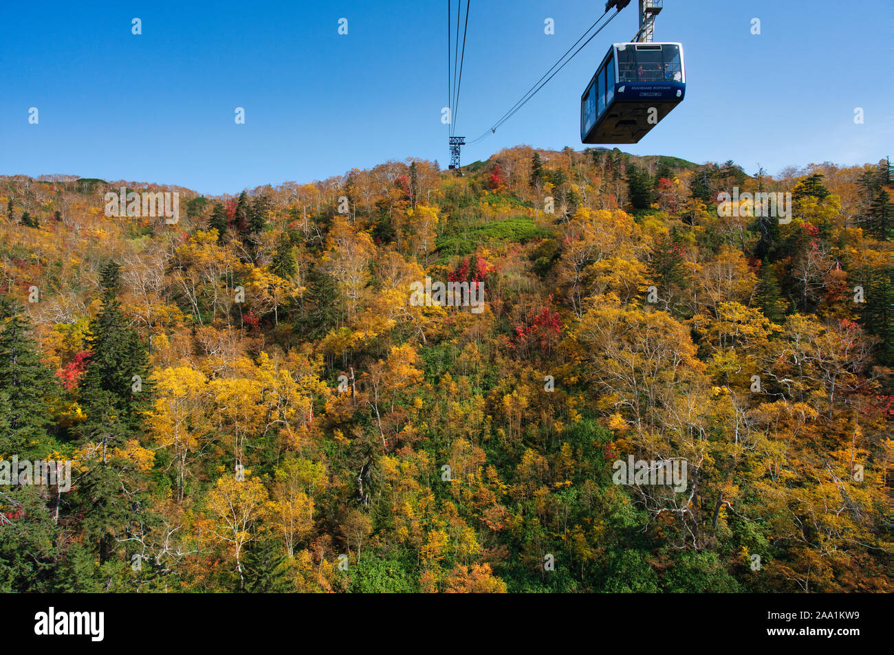 Mt. Asahi, autumn foliage Stock Photo - Alamy