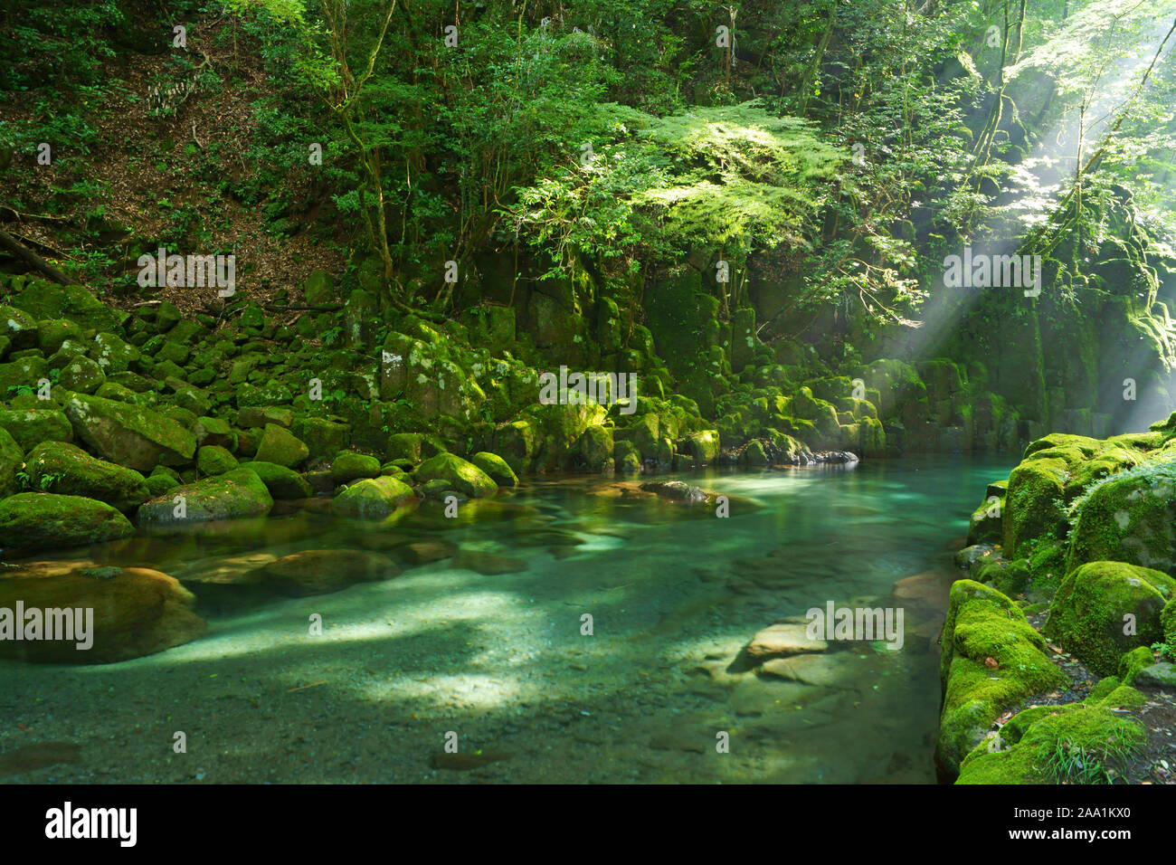Kikuchi Gorge, Kumamoto Prefecture, Japan Stock Photo - Alamy