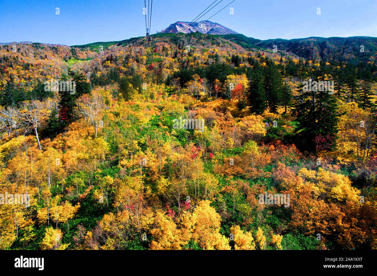 Mt. Asahi, autumn foliage Stock Photo - Alamy