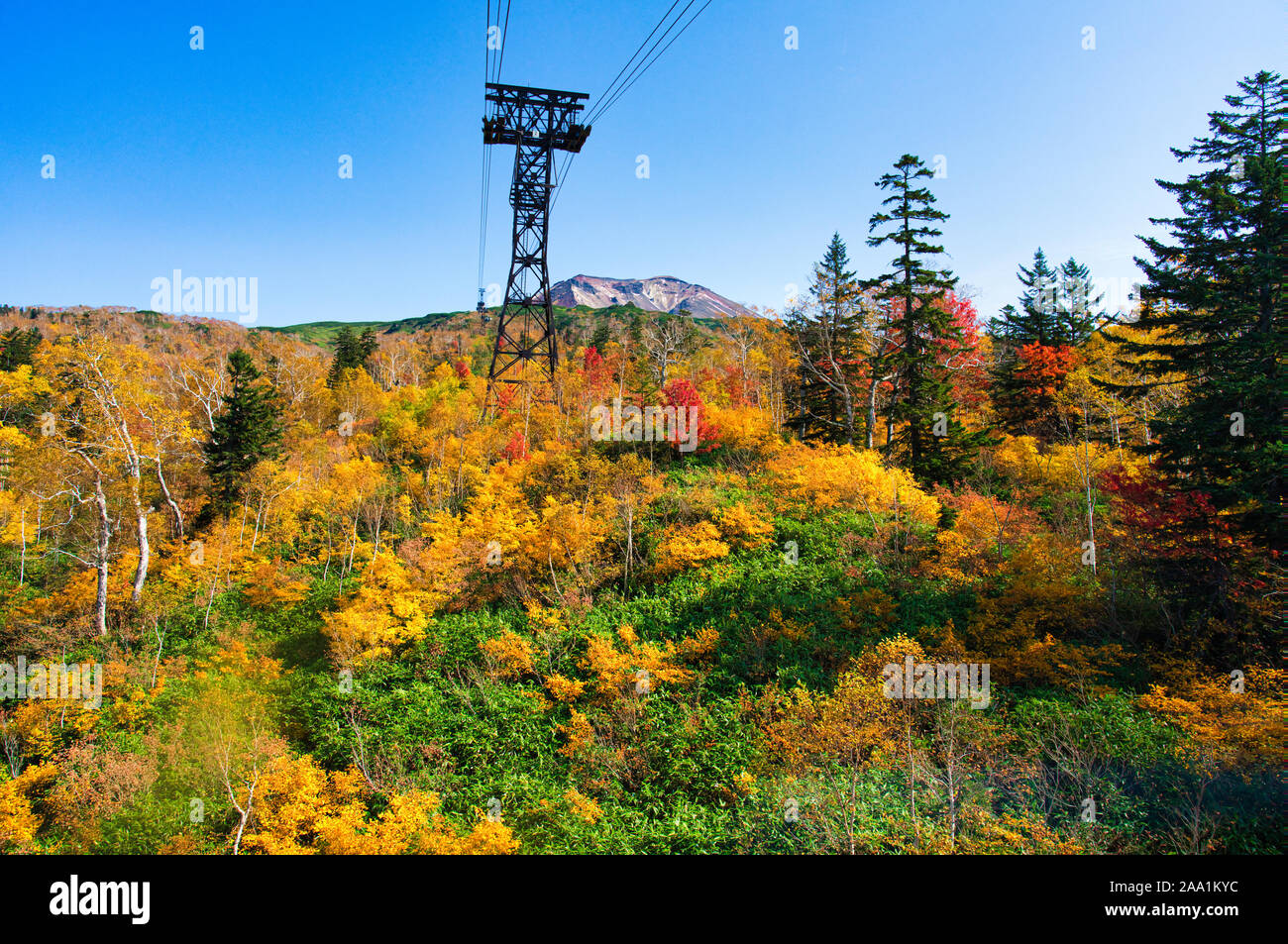 Mt. Asahi, autumn foliage Stock Photo - Alamy