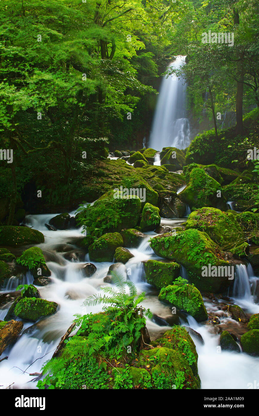 Shiraito Waterfall, Kumamoto Prefecture, Japan Stock Photo - Alamy