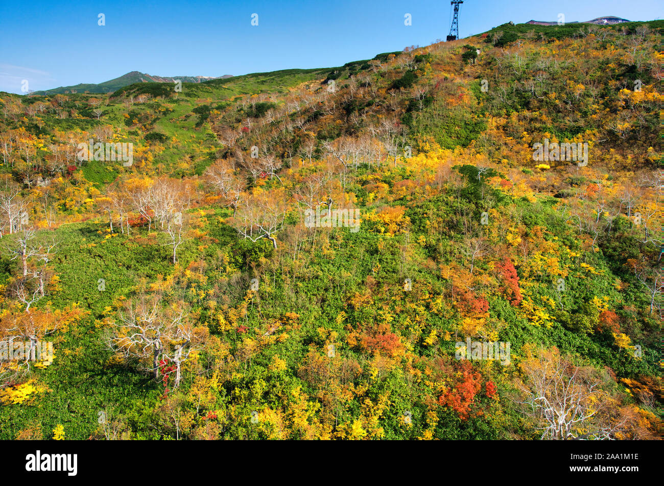 Mt. Asahi, autumn foliage Stock Photo - Alamy