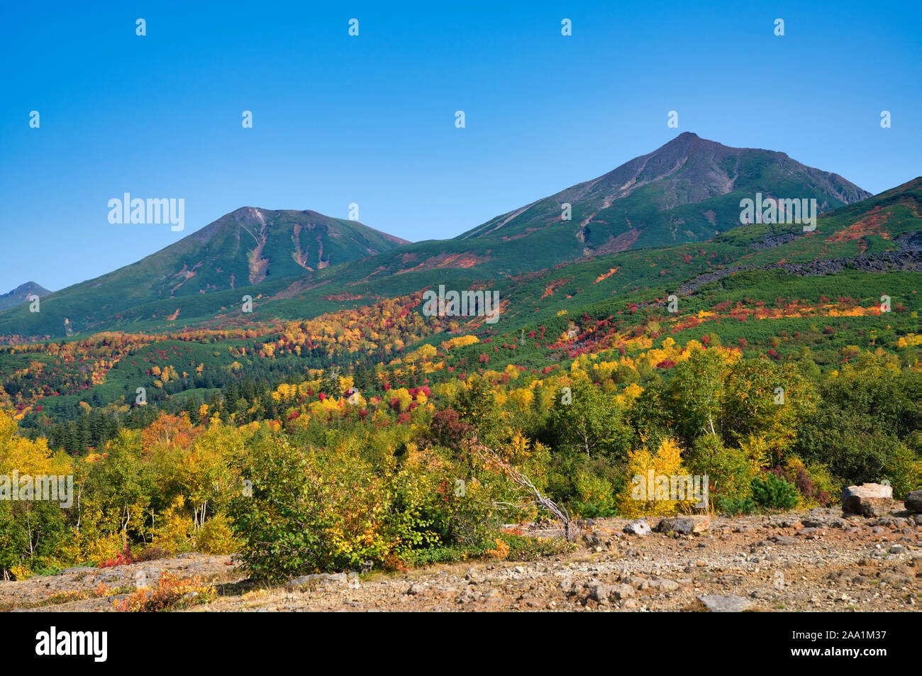 Mt. Tokachi, autumn foliage, Hokkaido Prefecture, Japan Stock Photo - Alamy