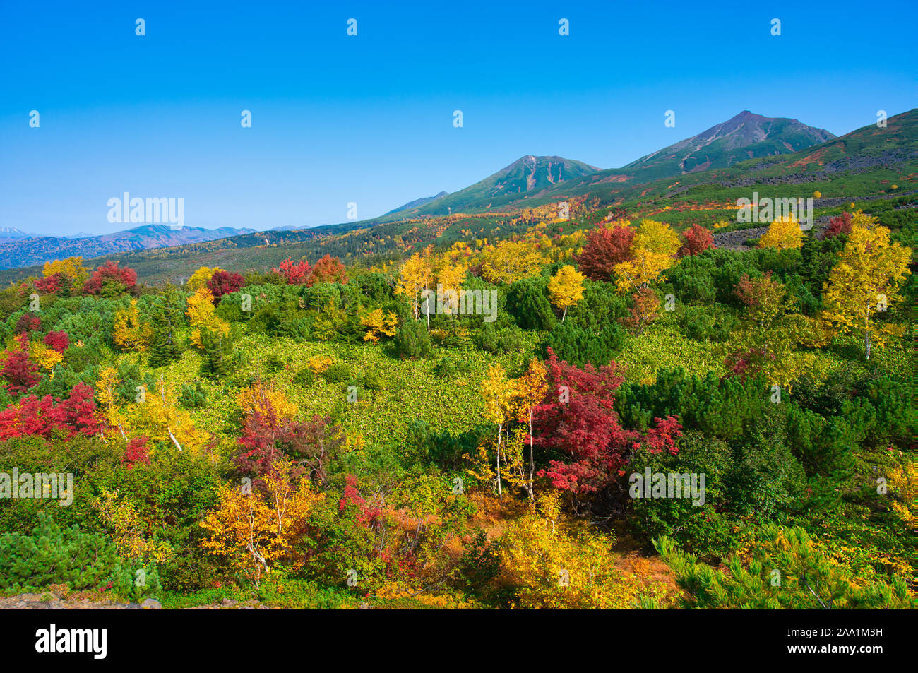 Mt. Tokachi, autumn foliage, Hokkaido Prefecture, Japan Stock Photo - Alamy