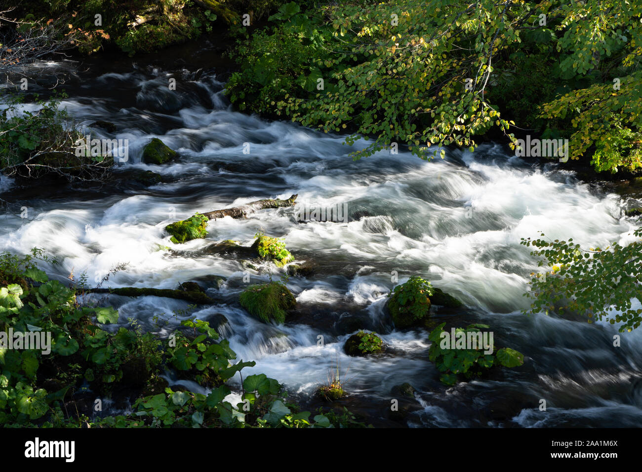 Stream and autumn foliage Stock Photo - Alamy